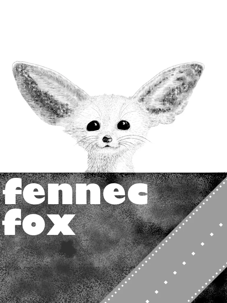 fennec fox - monotone drawings