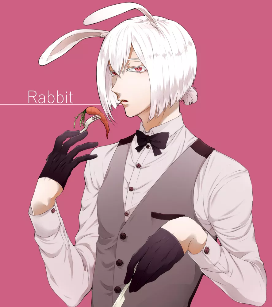 rabbit - mochi