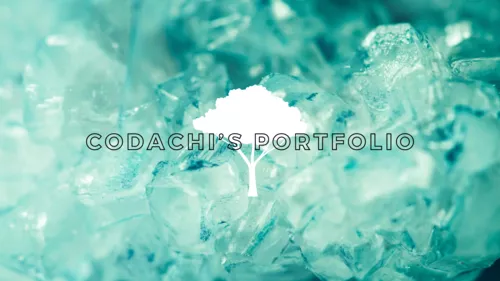 Illustration - Codachi's Portfolio