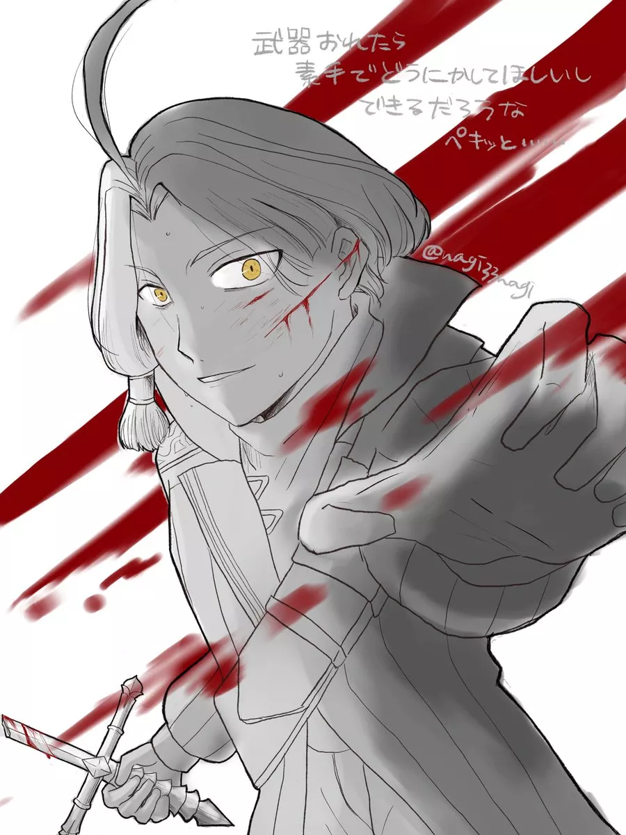 敵には一切容赦しない王 - とりの巣箱@sanagi