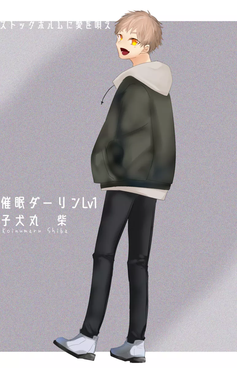 子犬丸柴 - nandemo BOX